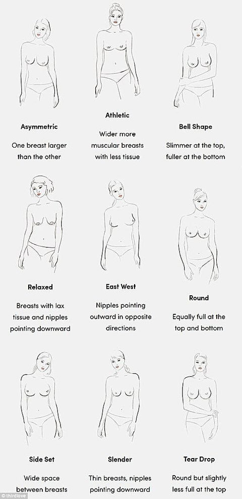 Understanding The Different Types Of Breast Shapes Olivia Paisley