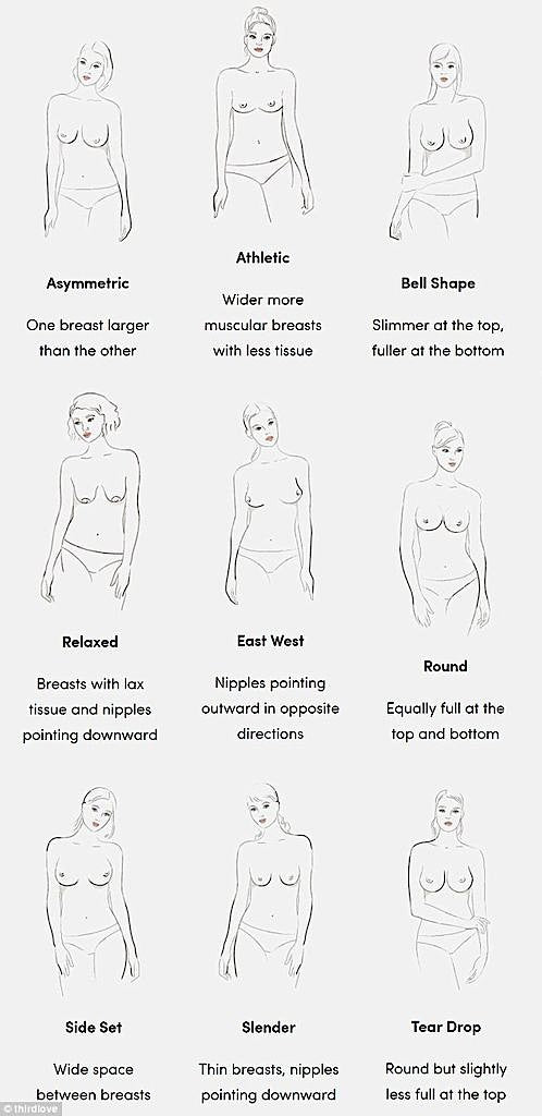 Understanding the Different Types of Breast Shapes – OLIVIA PAISLEY